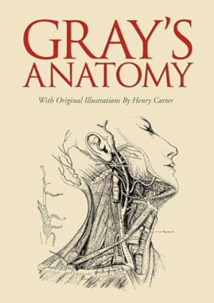 Grays Anatomy – history.physio